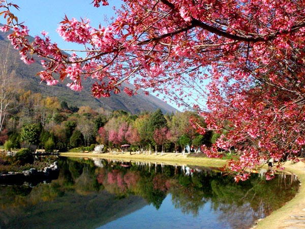 Butterfly Spring Park Dali, Yunnan Attractions China