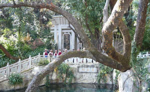 Dali Butterfly Spring