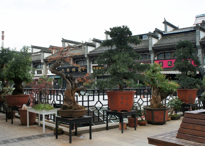 Jingxing Flowers and Birds Market of Kunming, Yunnan China